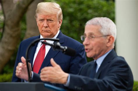 Dr Fauci Praises Truly Decent And Very Smart Mike Pence