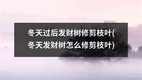 冬天过后发财树修剪枝叶 冬天发财树怎么修剪枝叶 养花经验