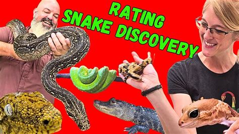 Rating Everything At Snake Discovery Youtube