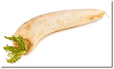Rezepte mit Rettich
