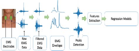 A Graphical Representation Of The Experimental Approach And Data Download Scientific Diagram
