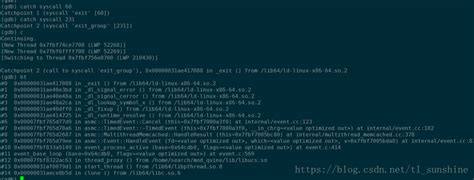 程序异常退出且没有任何coredump解决方法qnx App Crash But No Core Dump File Csdn博客