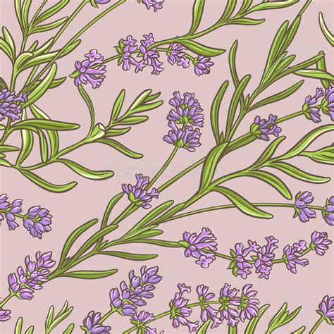 Lavender Seamless Pattern Stock Vector Illustration Of Hand 56560792