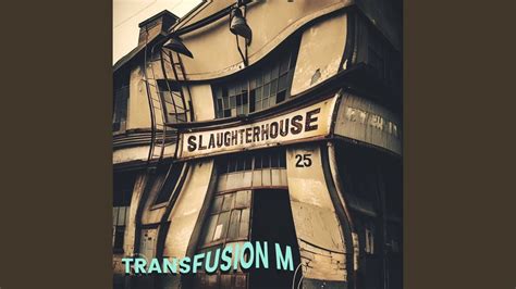 Miserable Window Youtube