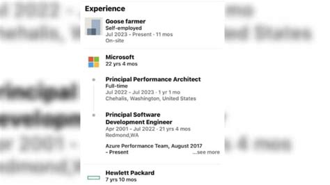 Man Left Microsoft After 22 Years To Become A Goose Farmer His
