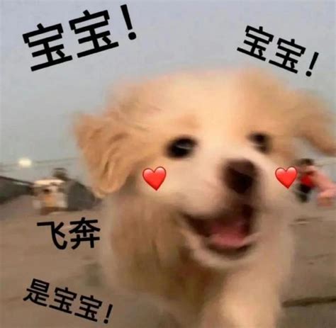 发给男朋友的可爱撒娇表情包 知乎