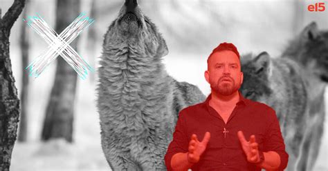 Berňák Vyletí Jak čert Z Krabičky Fousatá Legenda O Nezvyšování Daní