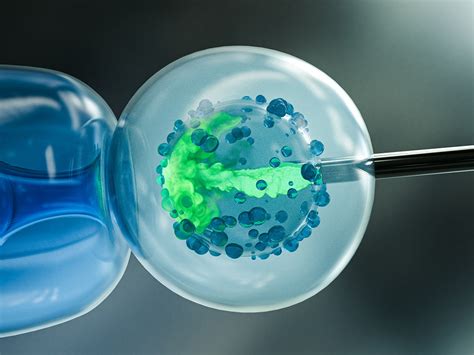آی وی اف Ivf دکتر پریسا موسی‌ پور فلوشیپ نازایی و لاپاراسکوپی