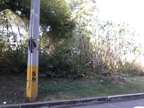 Terreno En Las Fincas Tev