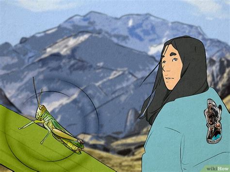 Grasshopper Spiritual Meaning What To Do If You See Them
