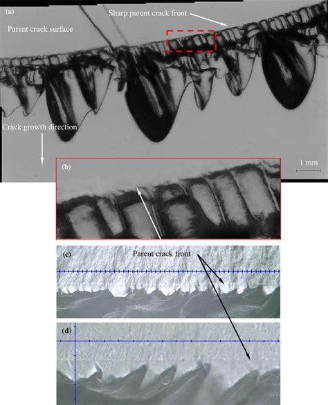 A Nucleation And Growth Of Daughter Cracks From A Natural Sharp Crack