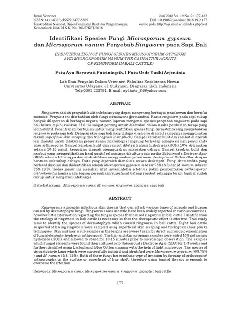 Identifikasi Spesies Fungi Microsporum Gypseum Dan Microsporum Nanum
