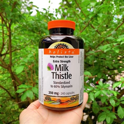 Milk Thistle 奶薊草的價格推薦 2021年4月 比價比個夠BigGo