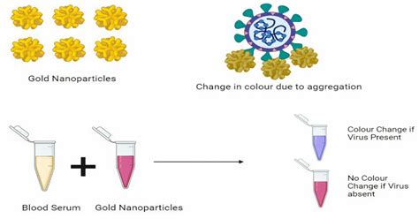 Nanoparticle Based Virus Detection Using Calorimetric Assay Download Scientific Diagram
