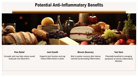 Potential Anti Inflammatory Benefits Corosolic Acid PPT Sample ST AI SS PPT Template