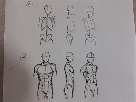 TUTORIAL SKETCH Disegni Anatomia Primo Post Universo Nerd Italia Amino