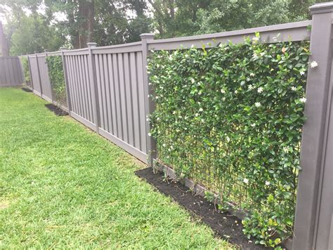 Awasome How To Remove Vines From Fence 2022