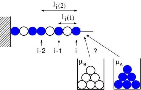 Schematic Representation Of The Growth Model Download Scientific Diagram