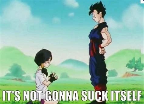 The Best Videl Memes Memedroid