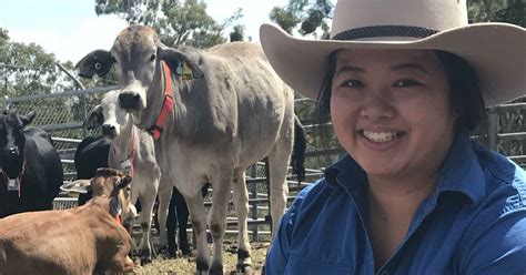 Sensor Technology A Boost For Cattle Health Farm Online Act