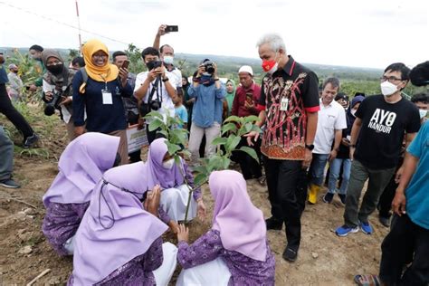 Perkuat Pariwisata Ganjar Tanam 1 000 Bibit Pohon Di Lahan Gersang