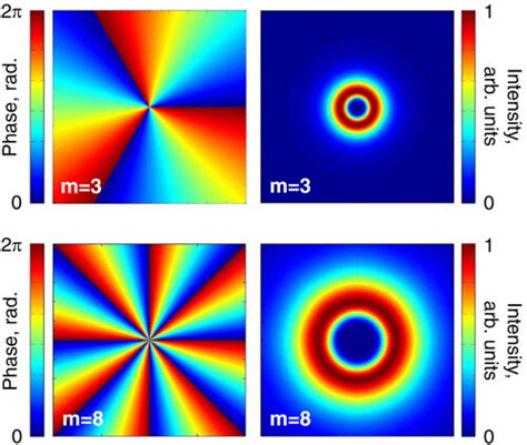 examples of numerically simulated ideal vortex beam patterns of orders