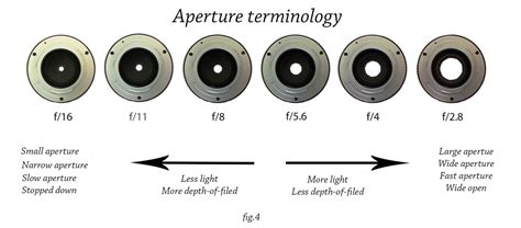GUIDE TO UNDERSTANDING APERTURE Wild Artistic
