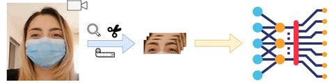 a brief workflow of the face recognition method phase 1 download