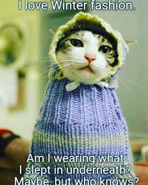 28 Cold Weather Memes To Melt Your Frosty Mood
