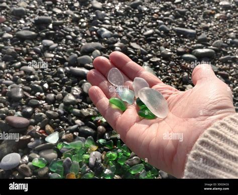 Woman Put Glass Sea Pebbles Of Different Colours On Shore Beach Nature And Ecology Background