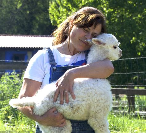 Sobre Alpacas de la Tierruca Alpacas de la Tierruca Ganadería de