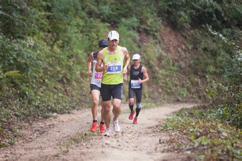 산림청 2024년 산림레포츠대회 주관기관 공개모집
