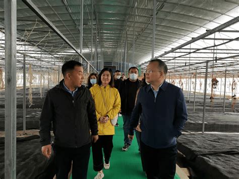 富民兴疆协作帮扶共成长 学习交流促提升 疏勒县 独山子区 乡村