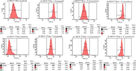Representative Flow Cytometry Histograms Of The Cell Lines Before And
