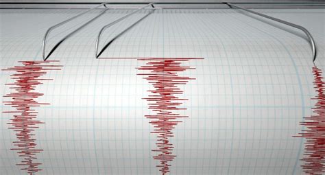 Polygraph Examination Procedure Polygraph Services