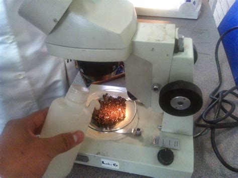 Qu Mica Suelo Experimento Y