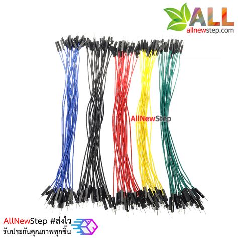 สายไฟผู้ ผู้ สายไฟจัมเปอร์ 20cm 5 สี อย่างละ 20 เส้น รวม 100 เส้น