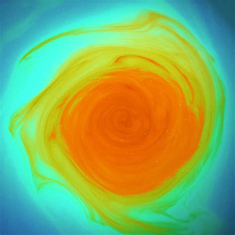 Helicoid Undone Wall Art Prints Snail Candy Arts