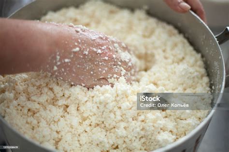 쿡은 코티지 치즈를 냄비에 섞습니다 핸드 반죽 유제품 식당에서 일하십시오 치즈 케이크 만들기의 세부 사항 열 개념에 대한 스톡 사진 및 기타 이미지 Istock