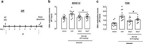RG108 Treatment Attenuated BDNF IV And TrkB DNA Methylation Changes