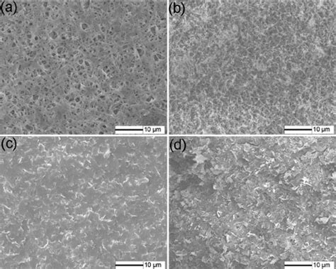 Surface SEM Images Of A Pristine Naked Membrane B Oxygen