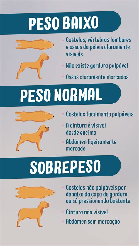 Quantas Calorias Devemos Consumir Por Dia Aprenda A Calcular🍚 Marque