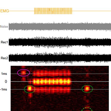 A Synthetic Model Of Our Cross Correlation Signal Processing Method
