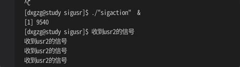 Linux C开发、linux函数api总结clinux Api Csdn博客