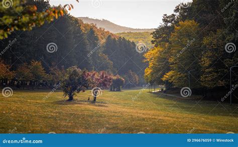 A View Of A Green Field With Trees In The Background Stock Image