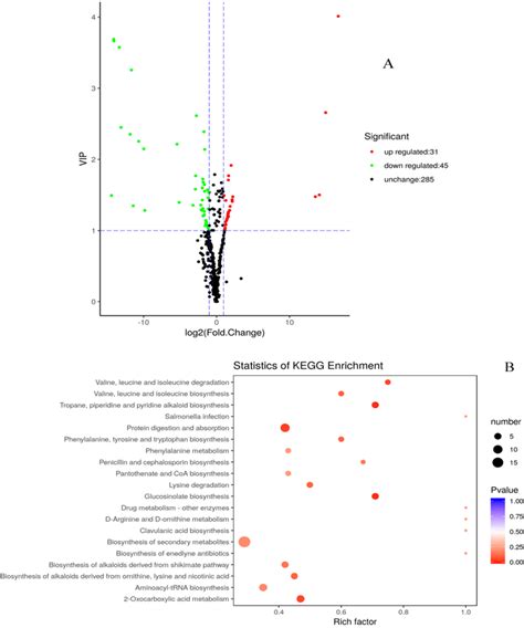 The Volcano Plots And Statistics Of Kegg Pathway Enrichment Of