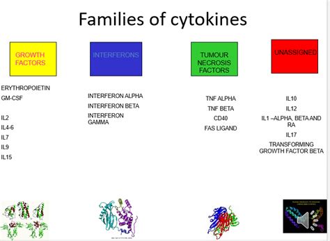 Cytokines And Chemokines Notion