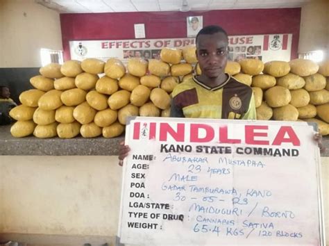 NDLEA Recovers Kg Illicit Drugs In States In Days Daily Nigerian
