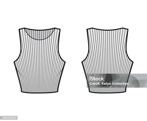 슬림핏 허리 길이 크루 네크라인이 돋보이는 크롭 리브드 코튼 저지 탱크 테크니컬 패션 일러스트 플랫 탑 0명에 대한 스톡 벡터 아트 및 기타 이미지 Istock