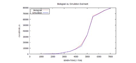 Dynamics Of Computer Simulation Vs Tumor Growth In Vitro Download Scientific Diagram